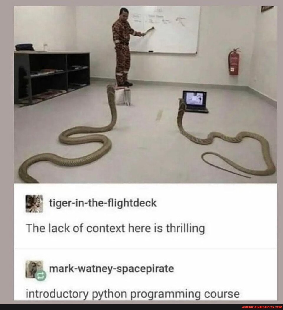 N/A - tiger-in-the-flightdeck The lack of context here is thrilling ...