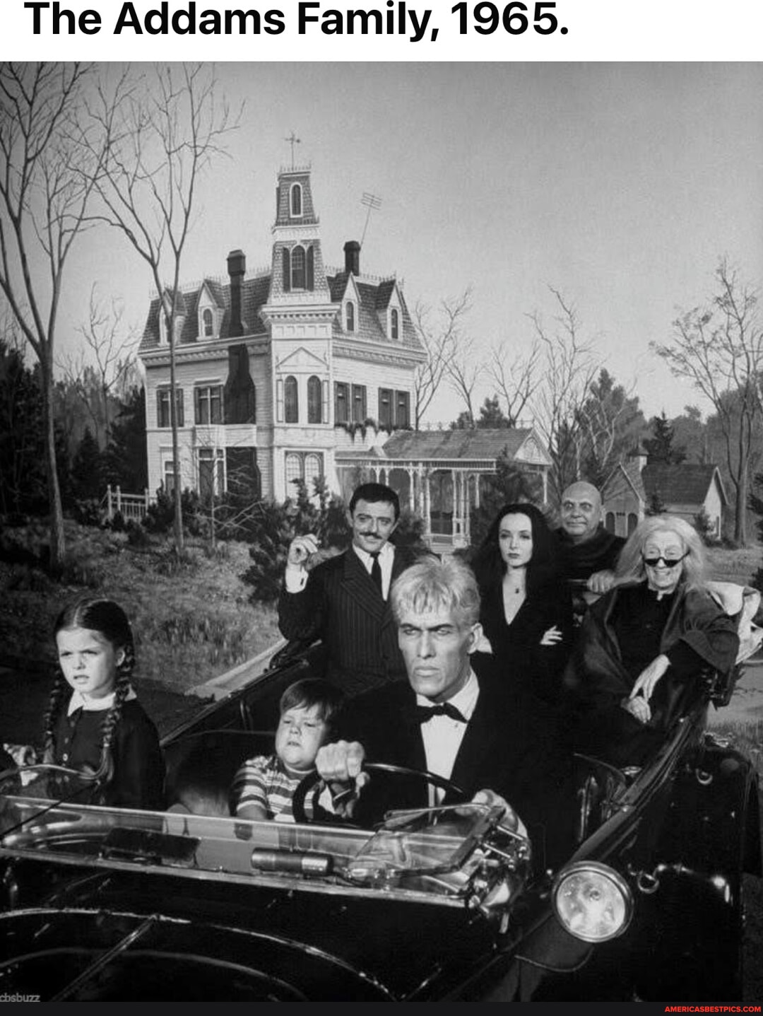 The Addams Family, 1965. - America’s best pics and videos
