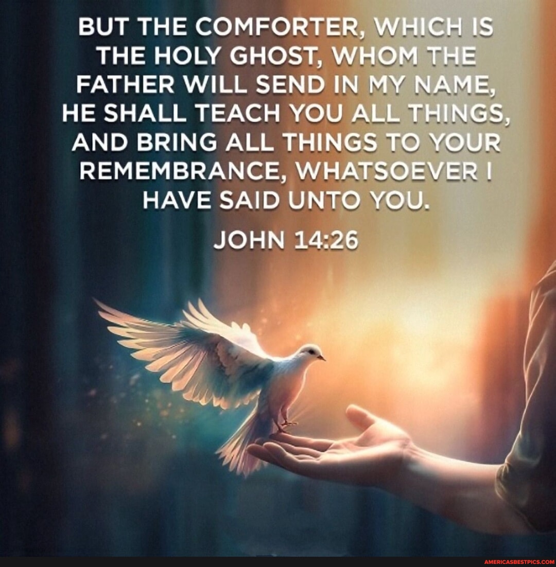 BUT THE COMFORTER, WHICH IS THE HOLY GHOST, WHOM THE FATHER WILL SEND ...