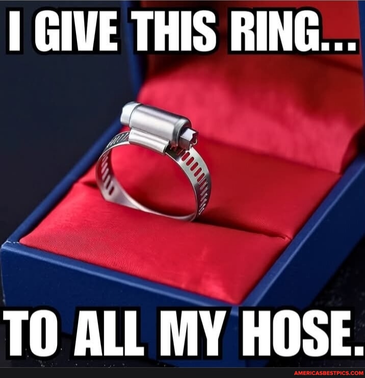 I GIVE THIS RING... fe TO ALL MY HOSE. - America’s best pics and videos