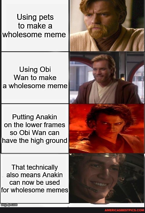 Using pets to make a wholesome meme Using Obi Wan to make a wholesome ...