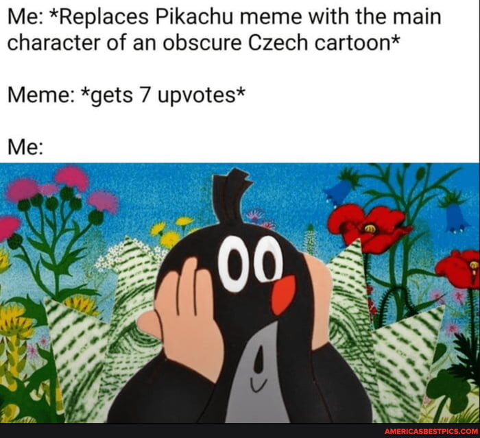 Me: *Replaces Pikachu meme with the main character of an obscure Czech ...