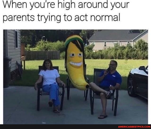 When youre high around your parents trying to act normal - America’s ...