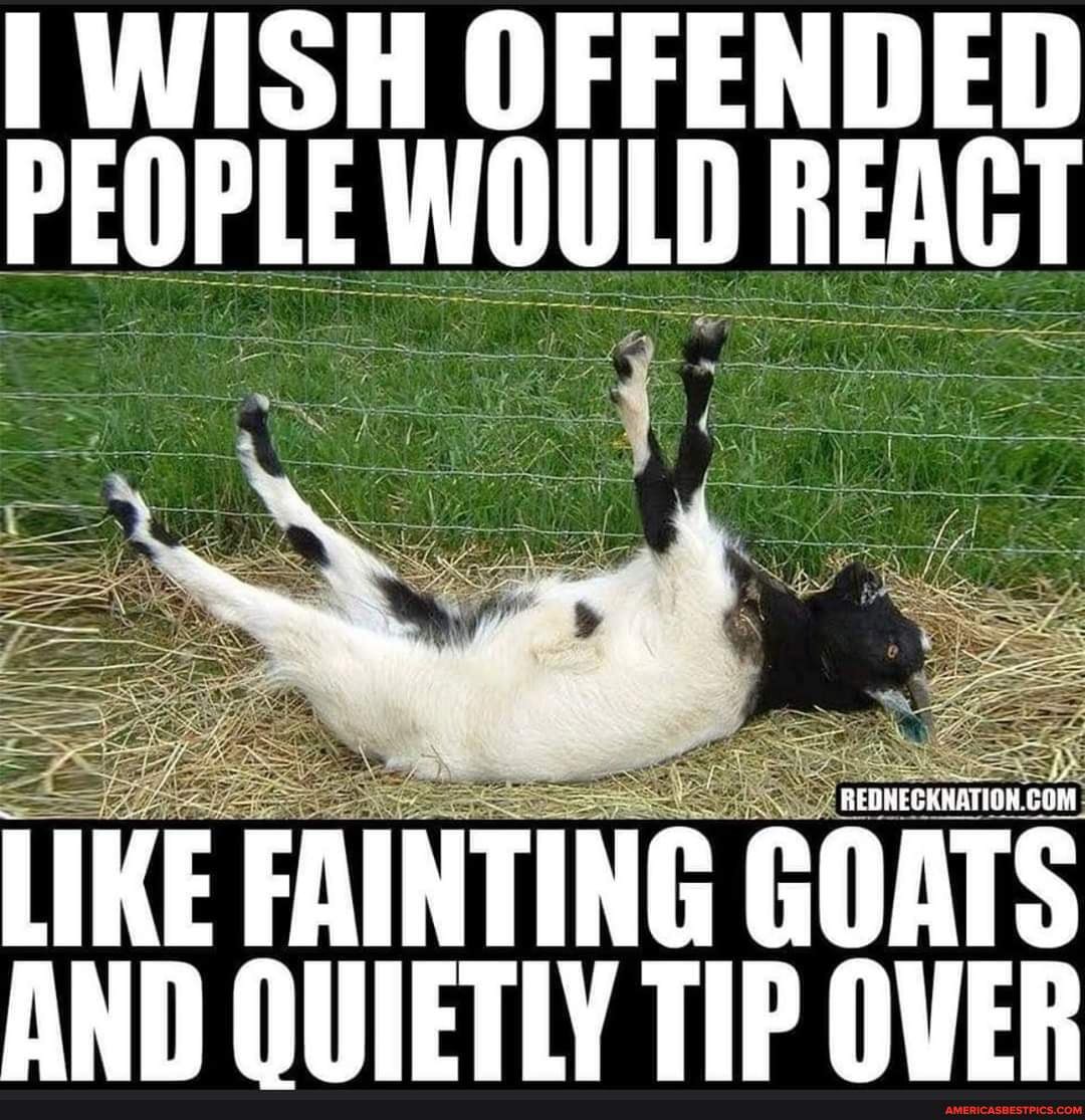 Shared by Lillian rednecknation . com - WISH OFFENDED PEOPLE WOULD ...