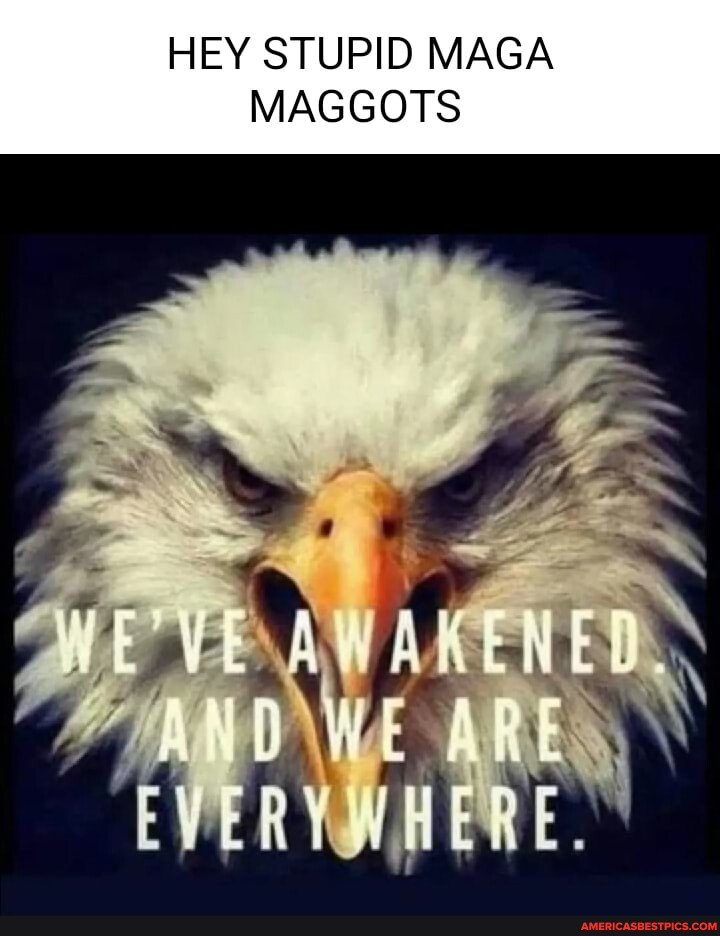 HEY STUPID MAGA MAGGOTS EVER - America’s best pics and videos