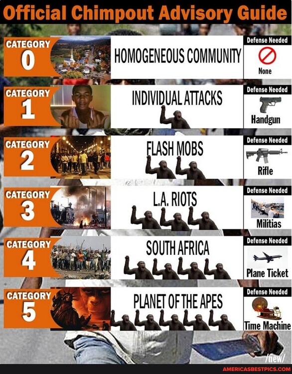 Chimpout memes. Best Collection of funny Chimpout pictures on America’s ...