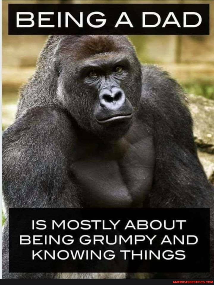 BEING A DAD ISMOSTLY ABOUT BEING GRUMPY AND KNOWING THINGS - America’s ...