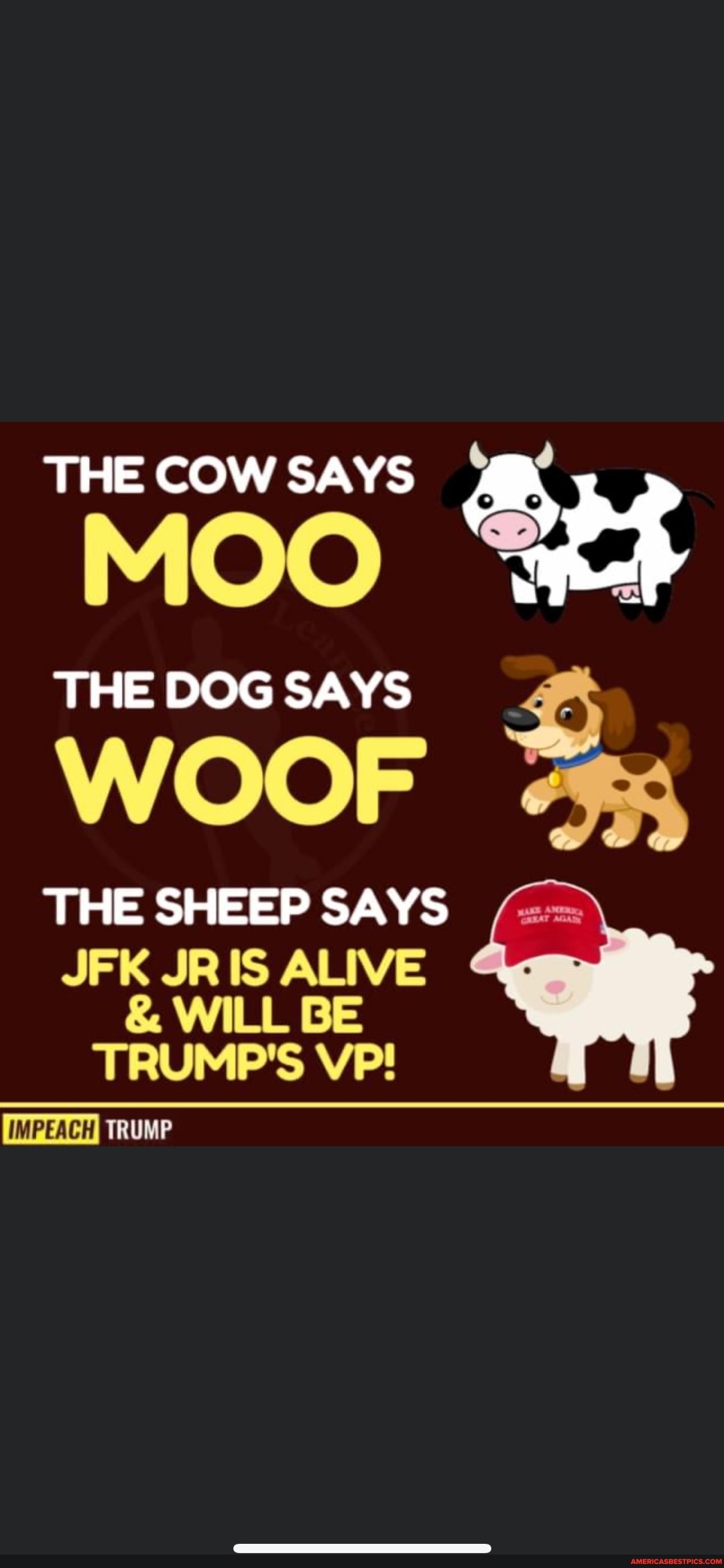 THE COW SAYS MOO THE DOG SAYS WOOF THE SHEEP SAYS JFK IS ALIVE & WILL ...