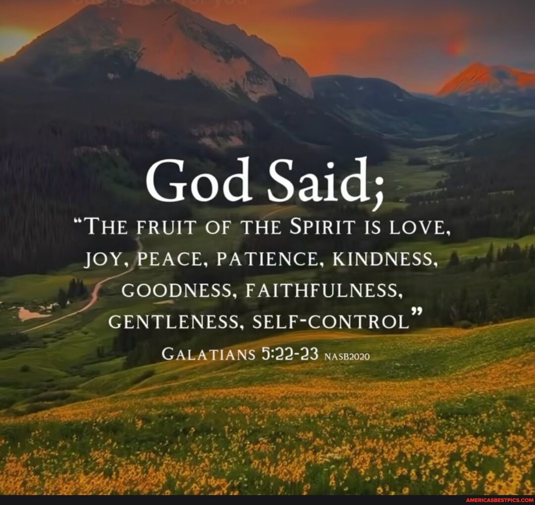 God Said; "THE FRUIT OF THE SPIRIT IS LOVE, JOY, PEACE, PATIENCE ...