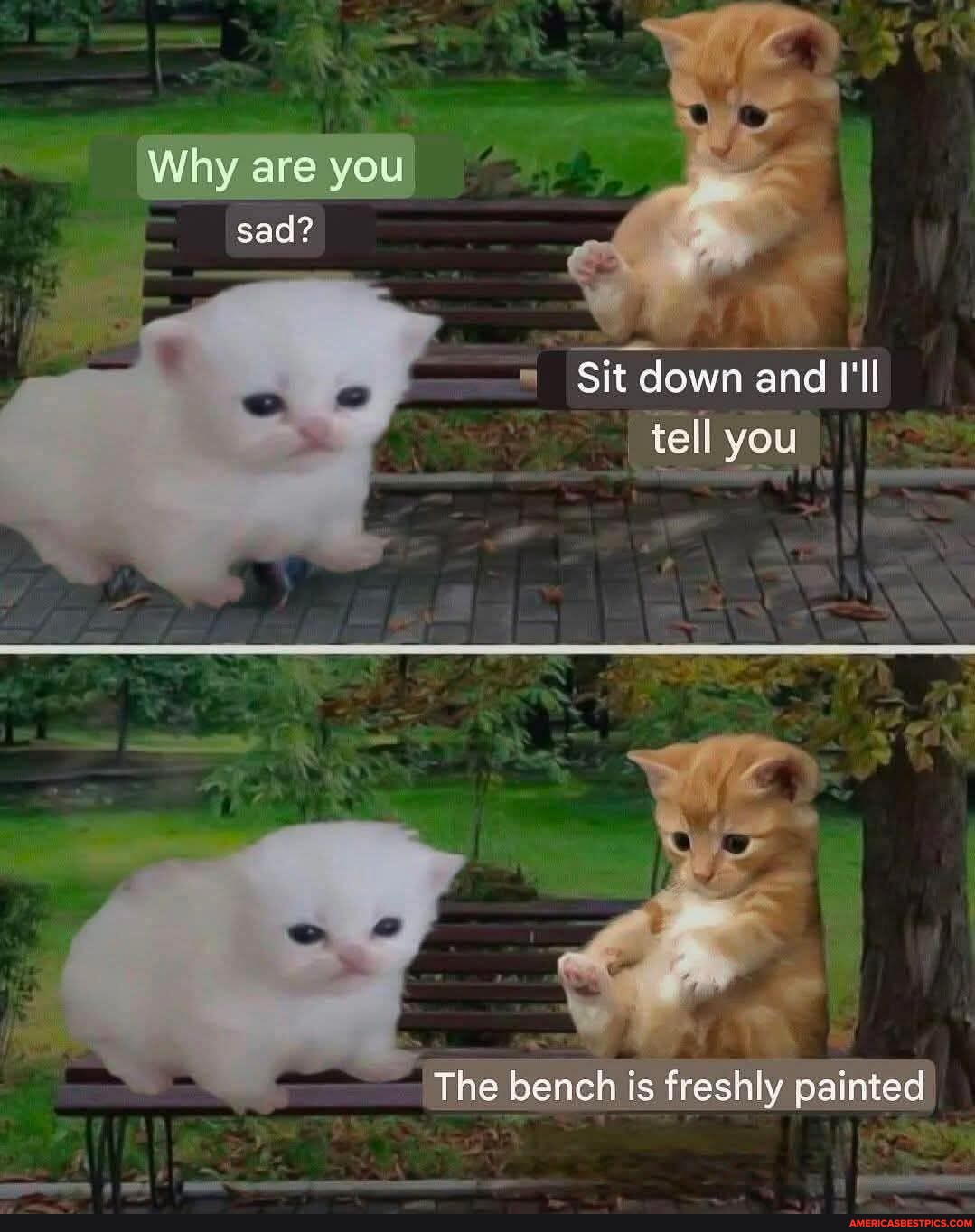 Why are you sad? Sit down and I'll tell you 'The bench is freshly ...