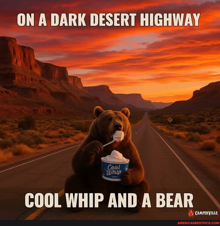 ON A DARK DESERT HIGHWAY Whip COOL WHIP AND A BEAR - America’s best pics and videos