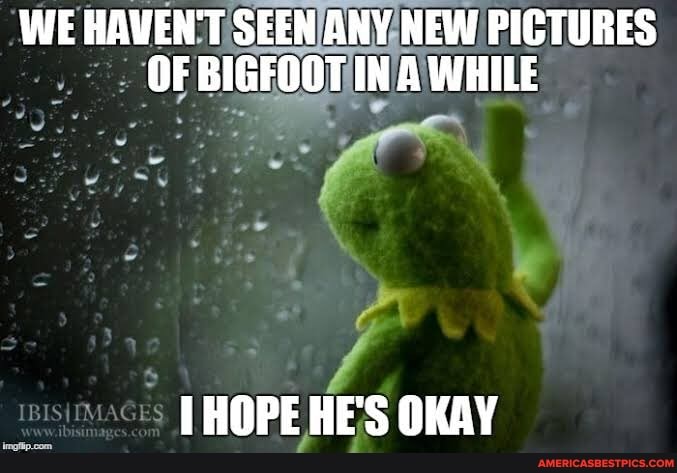 WE HAVEN'T SEEN ANY NEW PICTURES OF BIGFOOT IN A WHILE HOPE HE'S OKAY ...