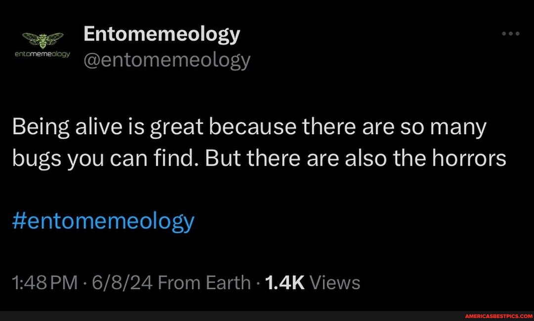 🥴 #entomemeology #entomology #entomologymemes #bugs #bugmemes # ...