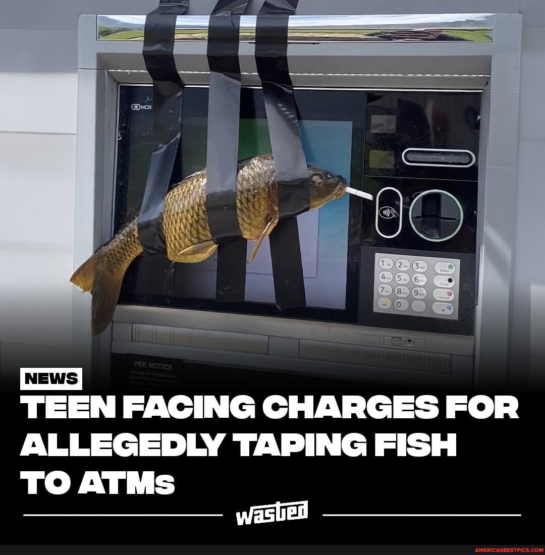A teenager is in trouble after allegedly taping fish to ATMs in Provo ...