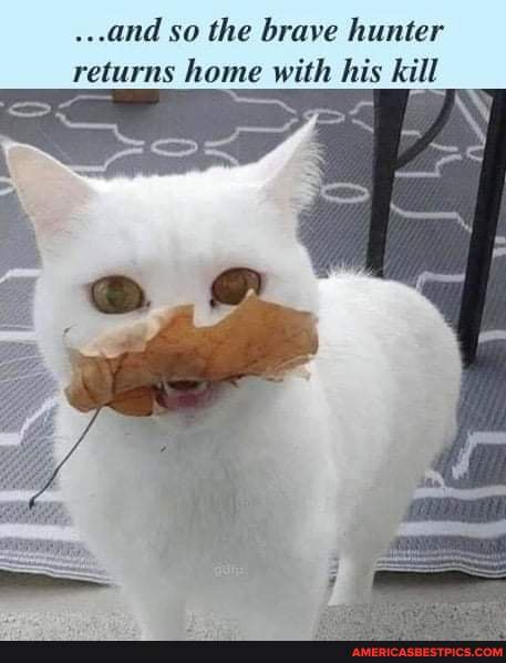 ...and so the brave hunter returns home with his kill Ns is - America’s ...