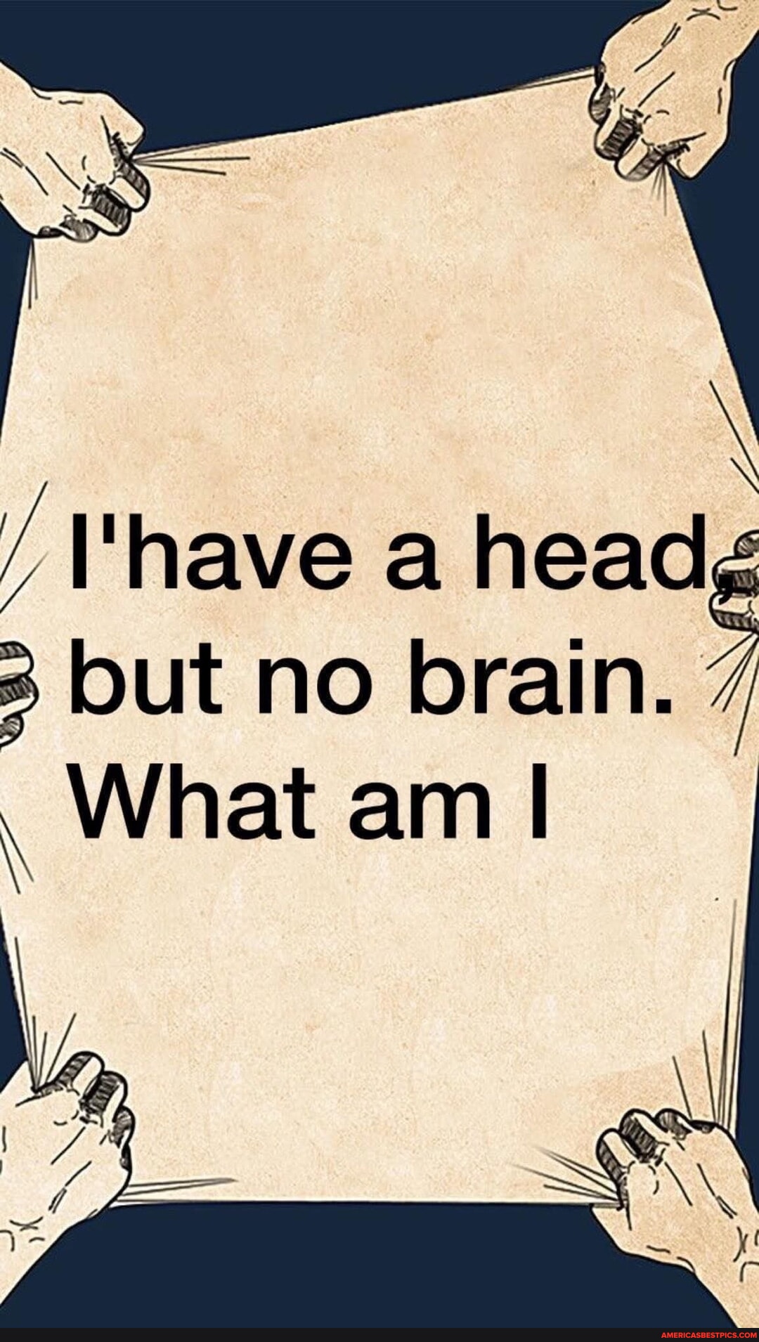 / "have a head but no brain. What am I - America’s best pics and videos