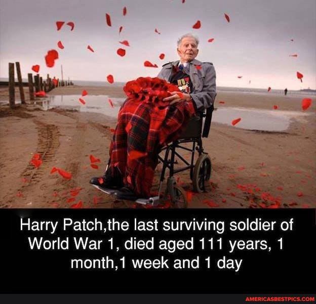 Harry Patch, the last surviving soldier of World War 1, died aged 111 ...
