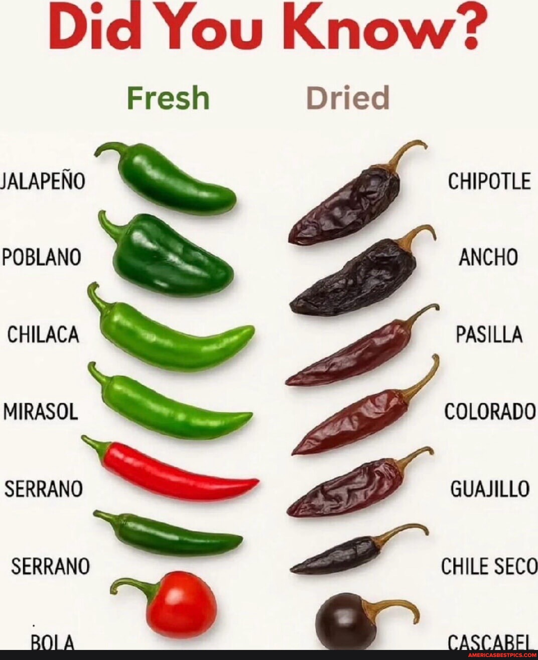 Did You Know? Fresh Dried JALAPENO CHIPOTLE POBLANO ANCHO CHILACA ...