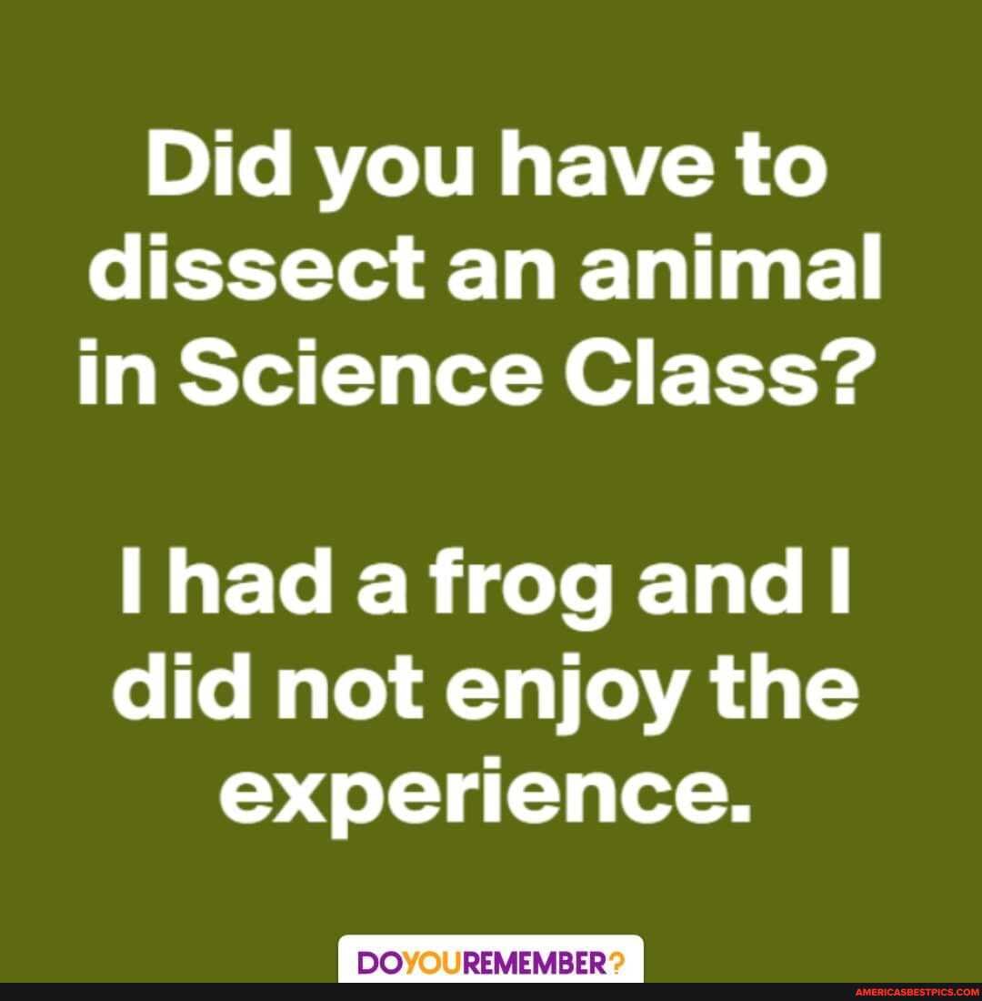 Did you have to dissect an animal in Science Class? had a frog and did ...
