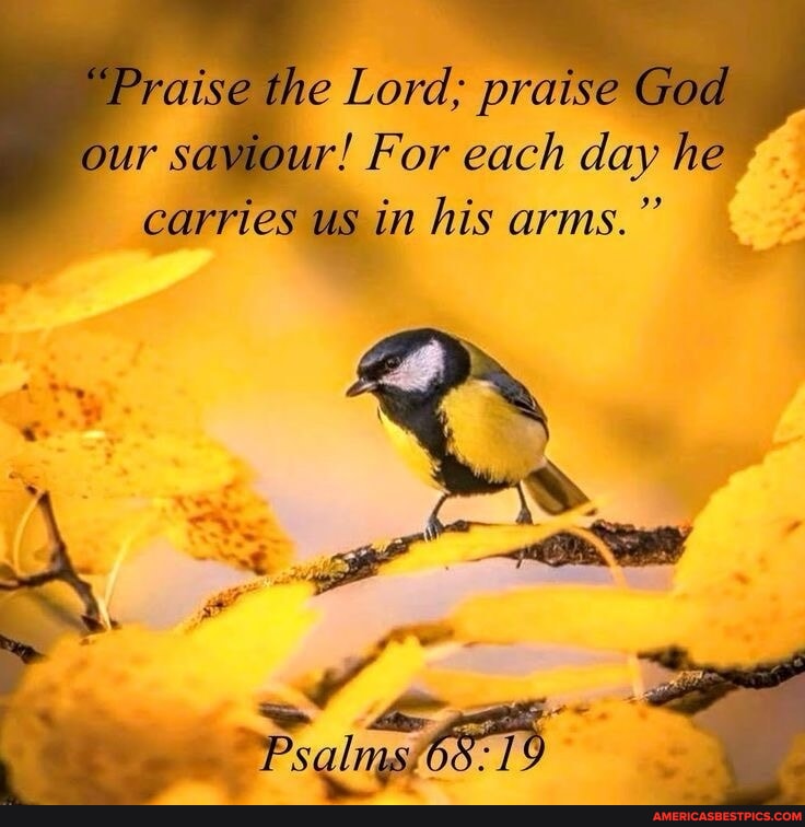 "Praise the Lord; praise God our saviour! For each day he carries us in ...