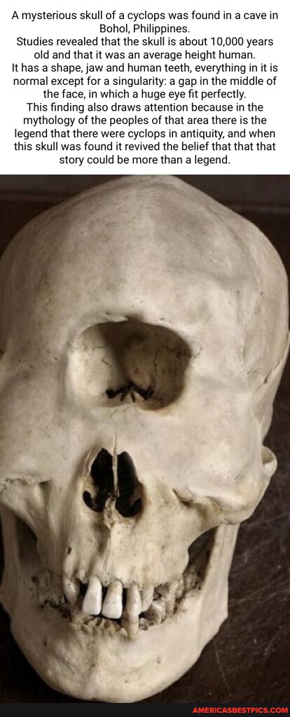 A mysterious skull of a cyclops was found in a cave in Bohol ...
