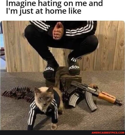 Imagine hating on me and just at home like - America’s best pics and videos