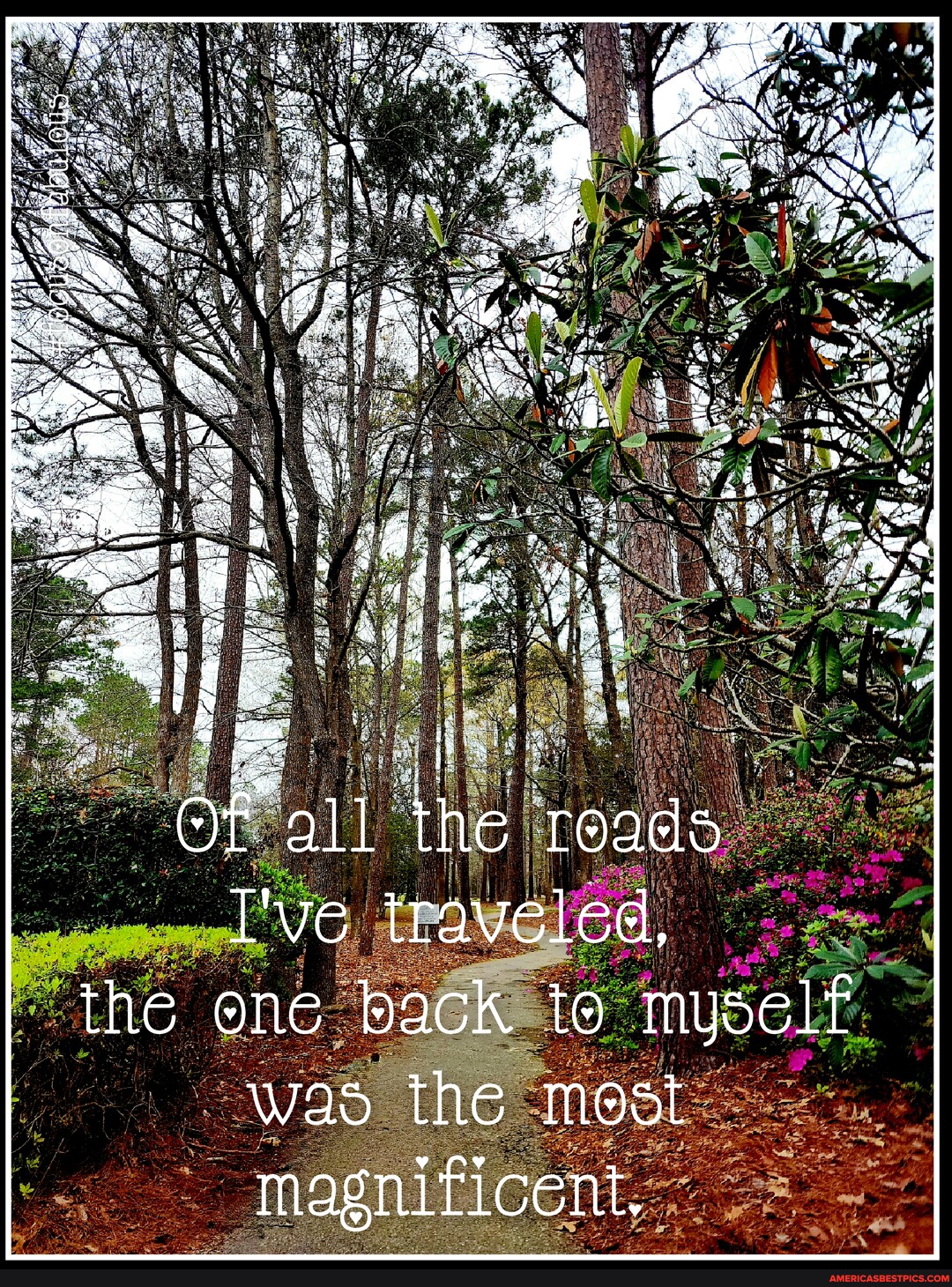 The reads 've traveled the one back to muselt all Of CB ificen magni ...