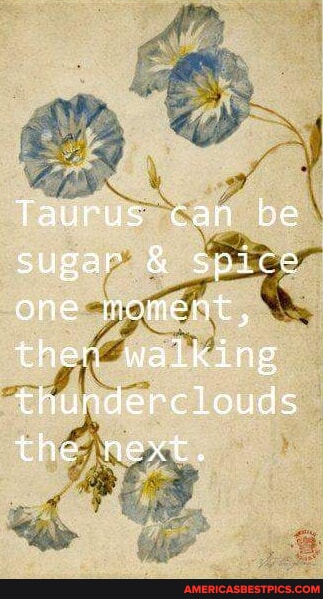 Taurus can be sugar & spice one moment, then walking thunderclouds the ...