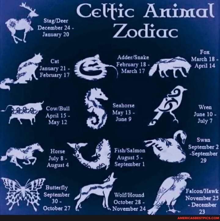 Celtic zodiac fox 60 photos - Astrologytoyou.com