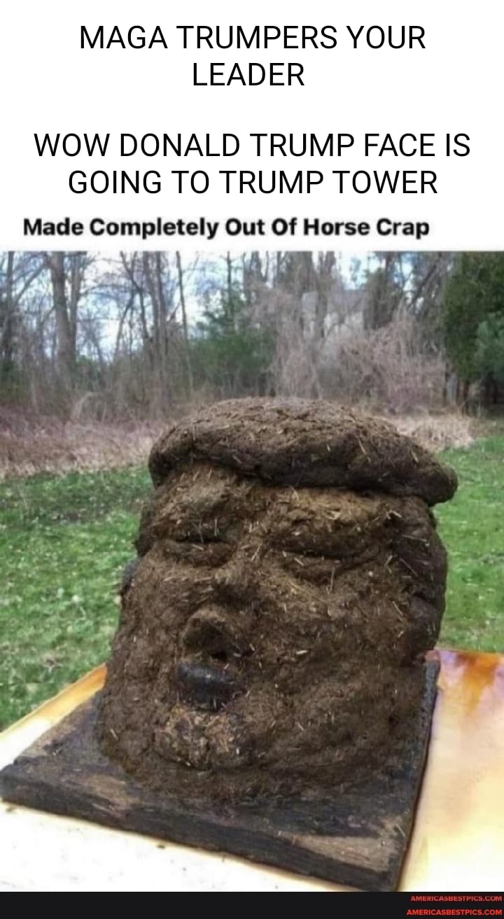 MAGA TRUMPERS YOUR LEADER WOW DONALD TRUMP FACE IS GOING TO TRUMP TOWER ...