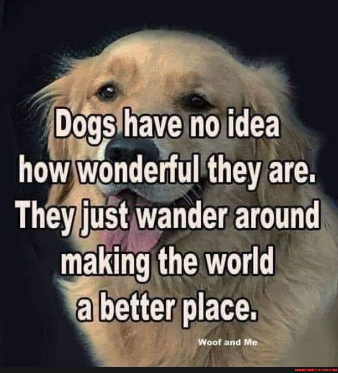 How world Woof and Me - America’s best pics and videos