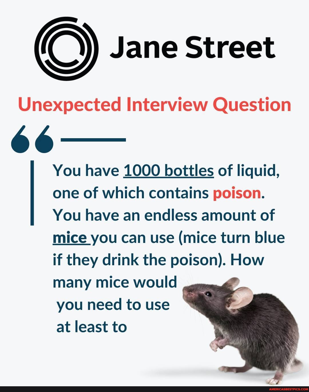 Brain Teaser Alert! 🧠🐁 Share your solutions! Or find the answer in ...