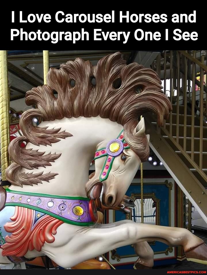 I Love Carousel Horses and Photograph Every One I See - America’s best ...