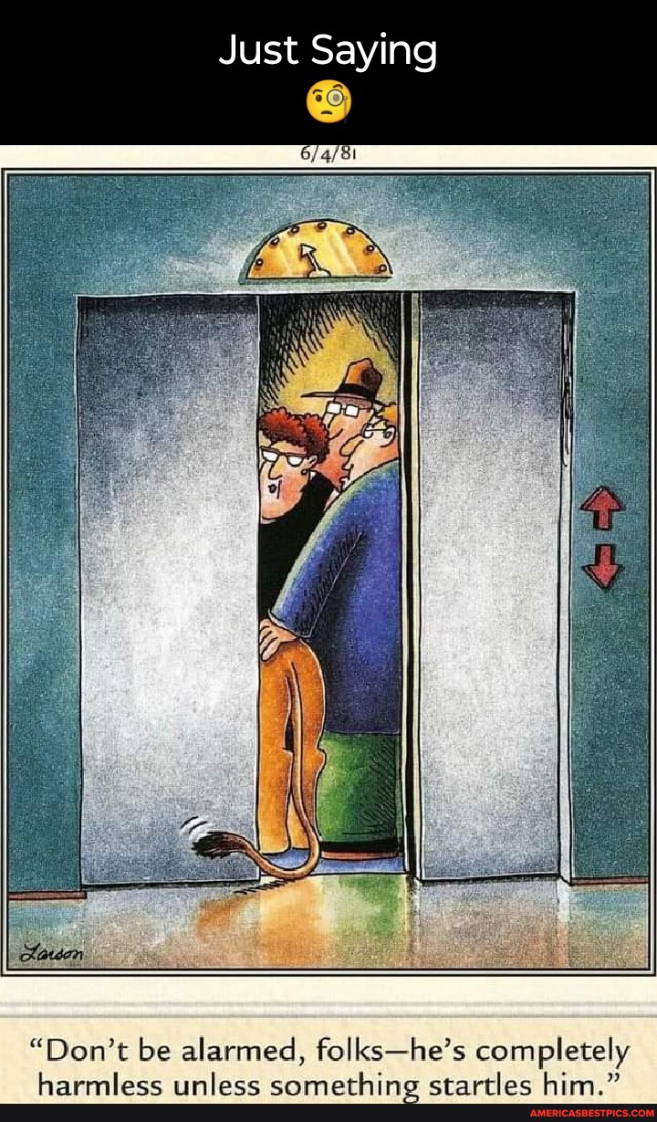 Just Saying "Don't be alarmed, folks-he's completely harmless unless ...