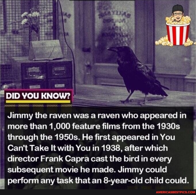 Co = DID YOU KNOW? Jimmy the raven was a raven who appeared in more ...