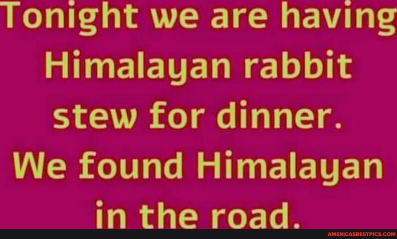 Tonight we are having Himalayan rabbit stew for dinner. We found ...