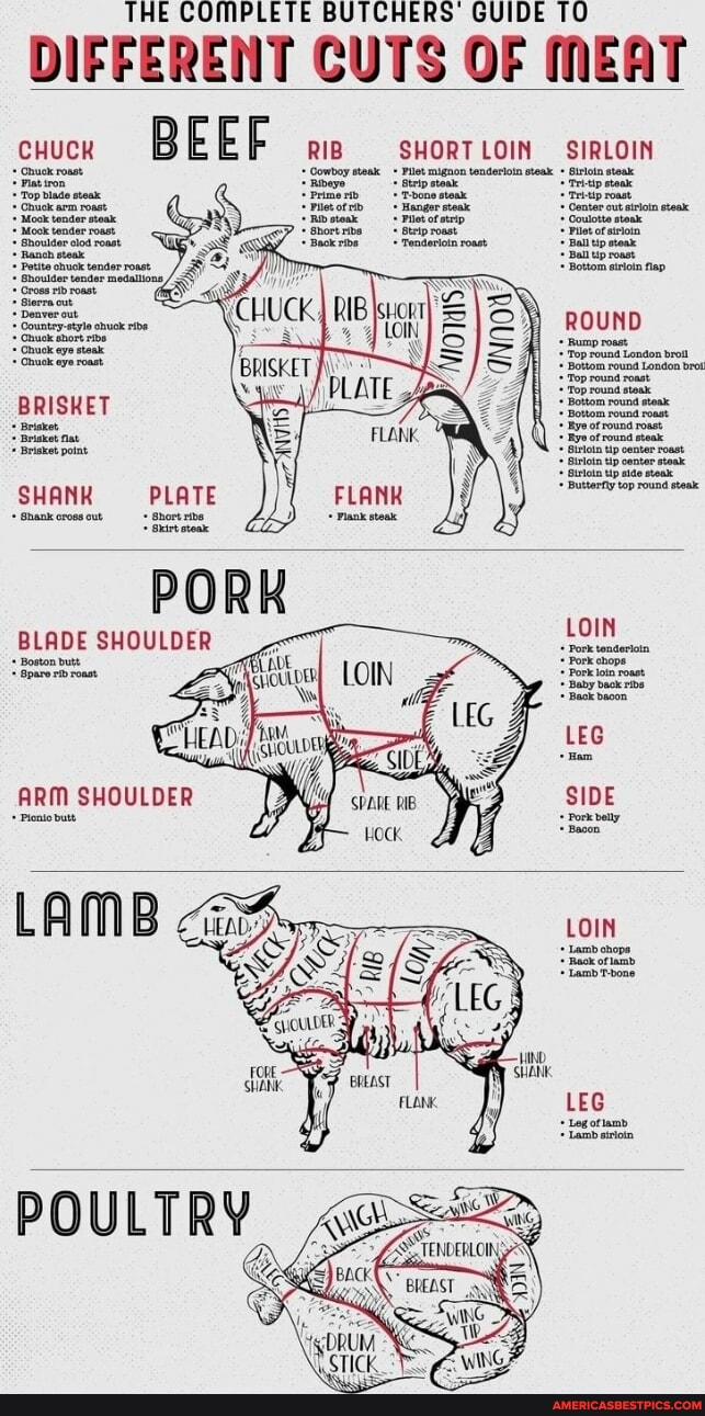 THE COMPLETE BUTCHERS GUIDE TO DIFFERENT CUTS OF MEAT CHUCK E EF RIB ...
