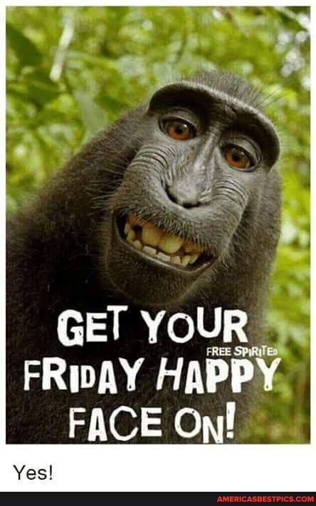 GET YOUR FRAY HAPPY. FACE On! - America’s best pics and videos