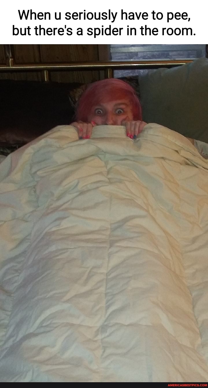 When u Seriously have to pee, but there's a spider in the room ...
