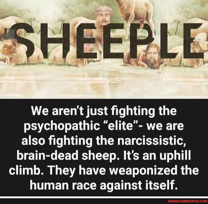 SHEEPLE We aren't just fighting the psychopathic "elite"- we are also ...