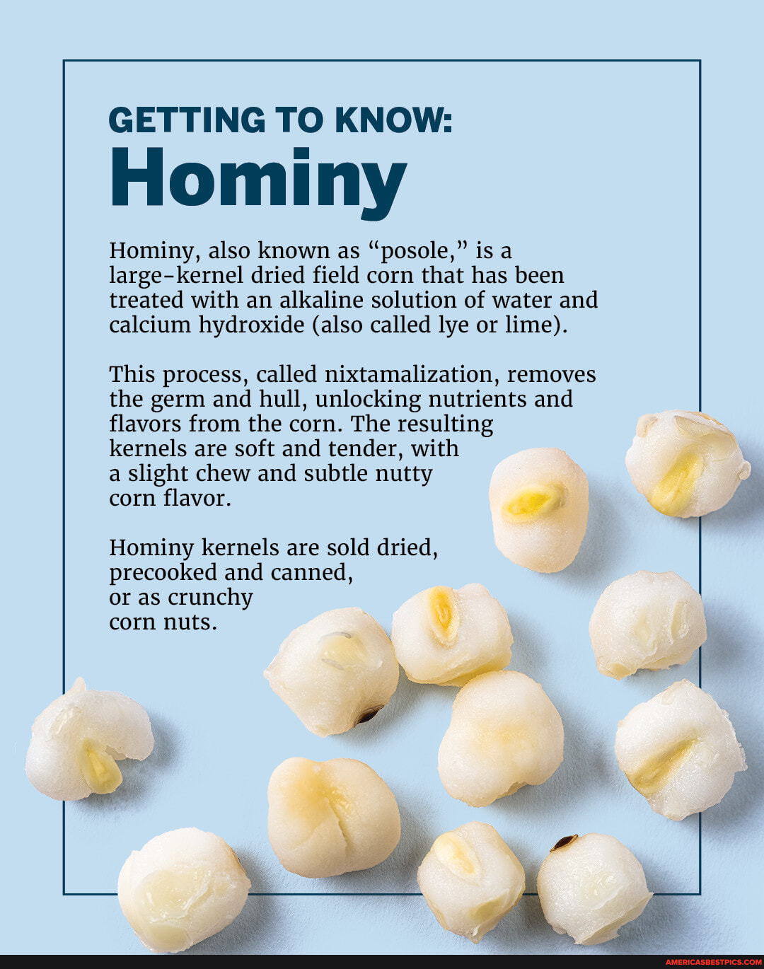 GETTING TO KNOW: Hominy Hominy, also known as "posole," is a large ...