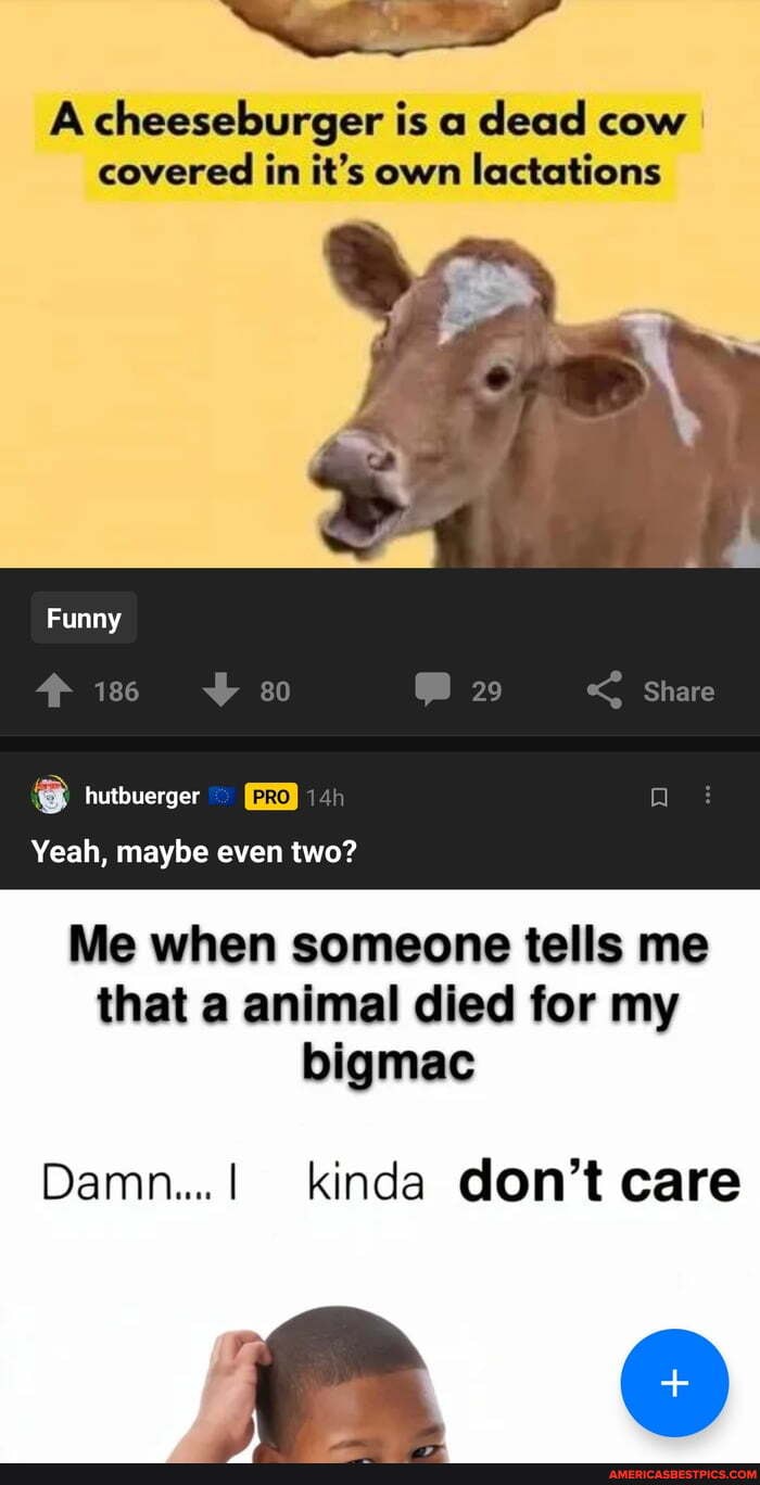 A cheeseburger is a dead cow covered in it's own lactations Funny 186 ...