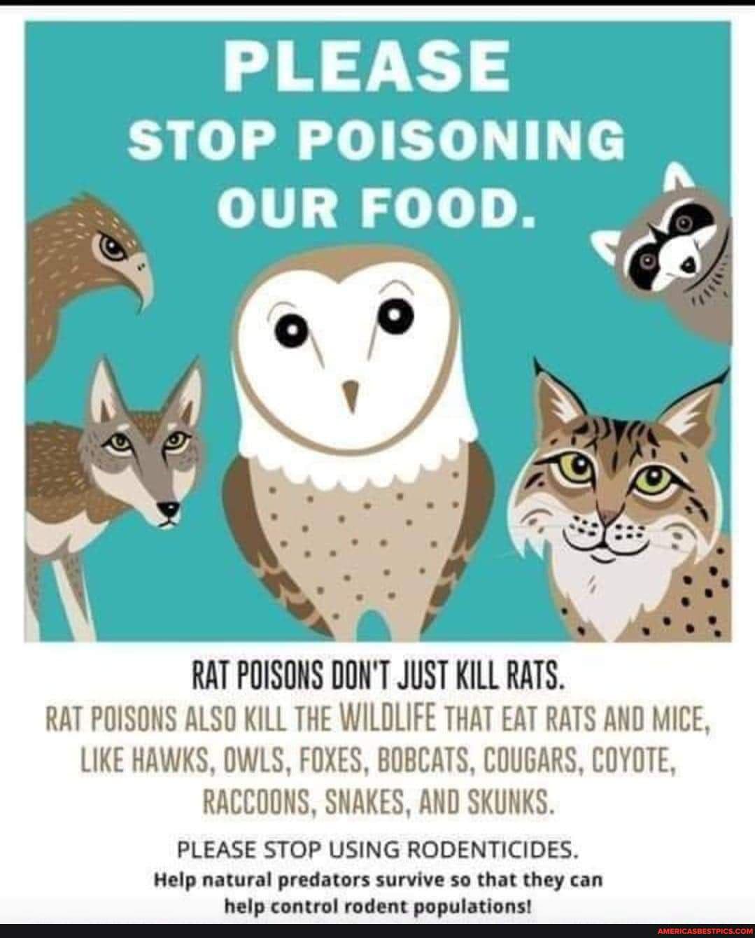 PLEASE STOP POISONING OUR FOOD. RAT POISONS DON'T JUST KILL RATS. RAT ...