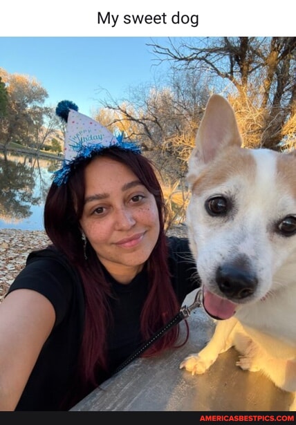 My sweet dog - America’s best pics and videos