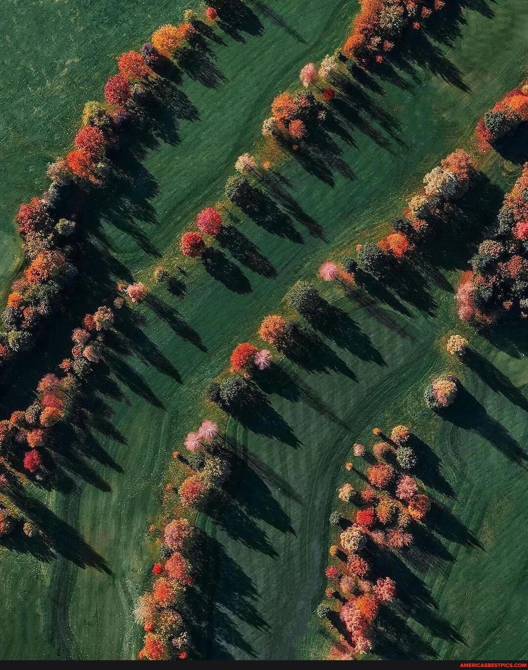 Swipe to see some absolutely stunning photos taken from around the ...