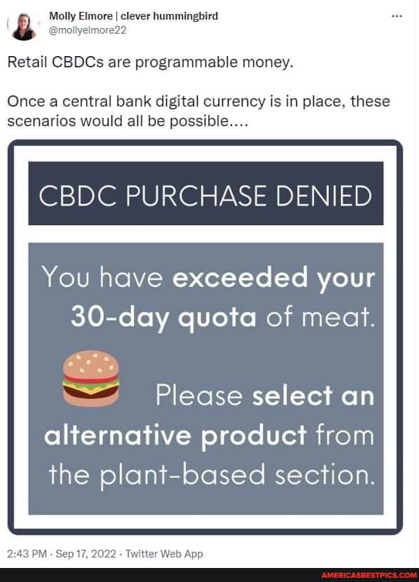 Molly Elmore I clever hummingbird @mollyelmore22 Retail CBDCs are programmable money. Once a ...