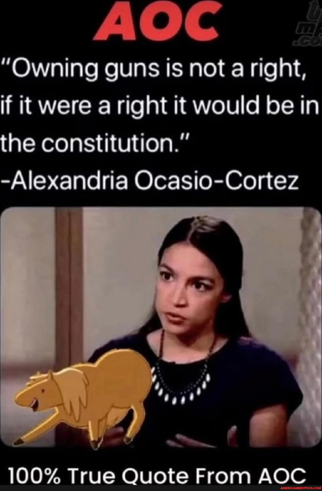 "Owning guns is not a right, if it were a right it would be in the ...