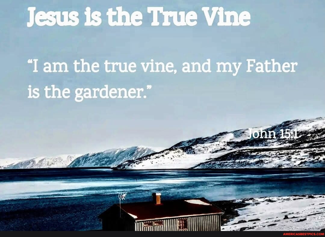 Jesus is the True Vine "I am the true vine, and my Father is the ...