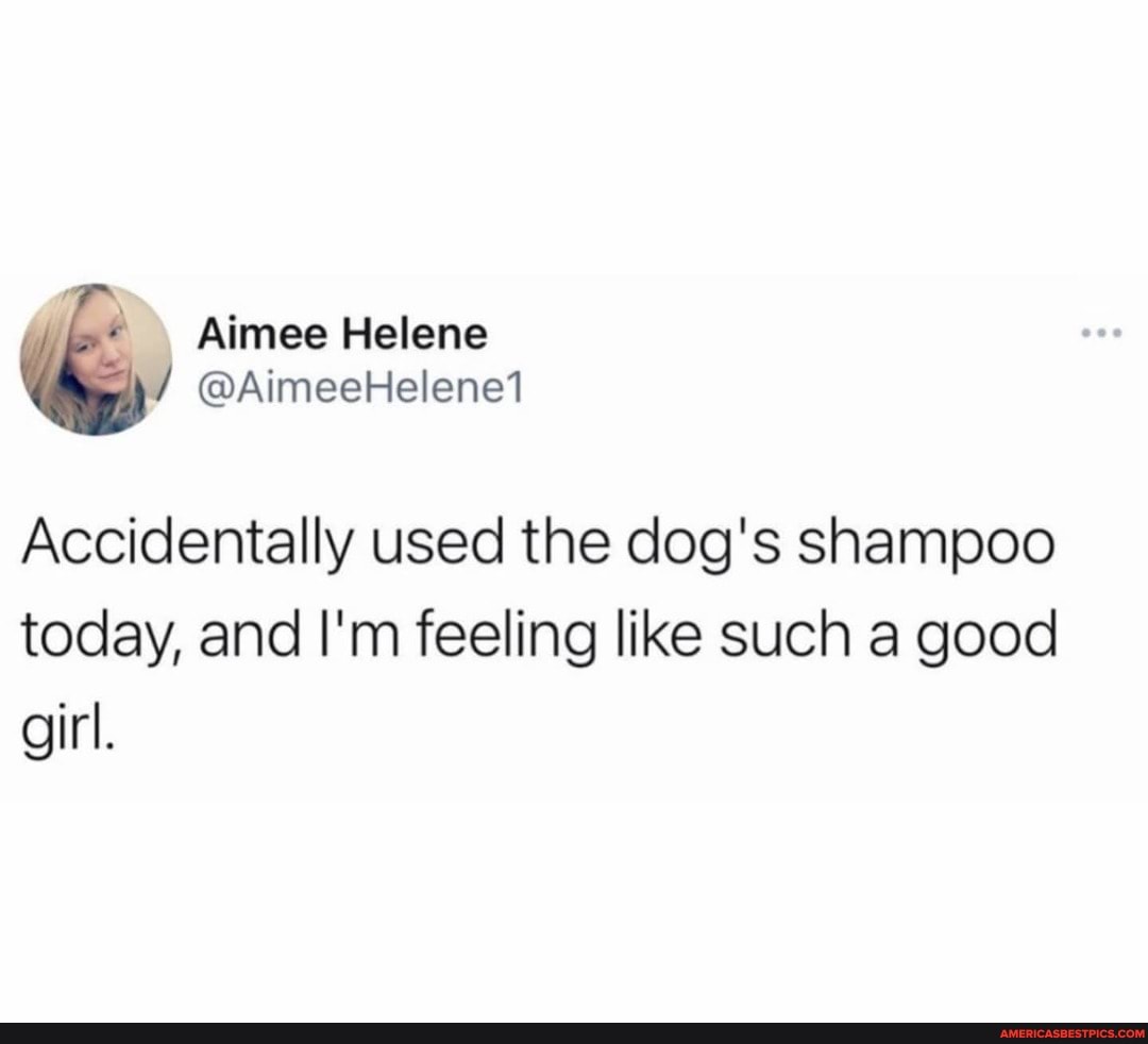 * Aimee Helene @AimeeHelene' Accidentally used the dog's shampoo today ...