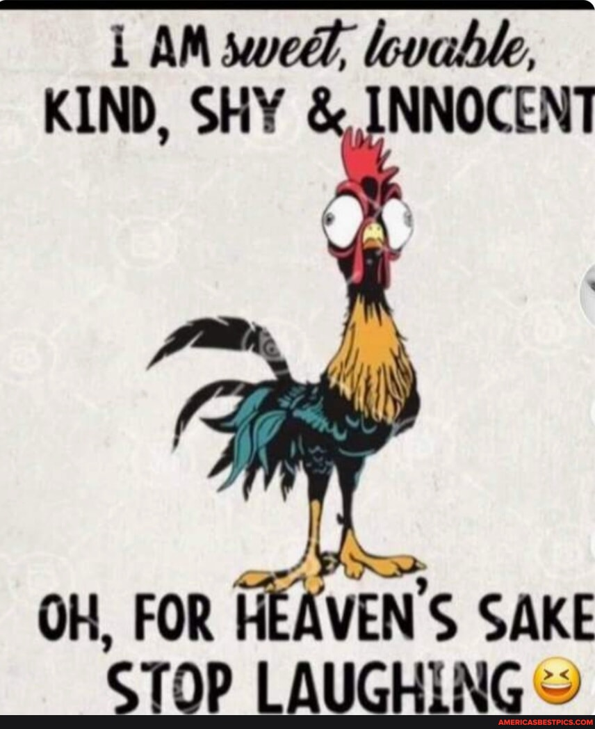 AM sweel, lovahle, KIND, SHY & INNOCENT iQ OH, FOR HEAVEN'S SAKE STOP ...